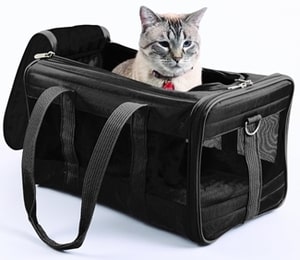 Top Opening Carrier for Large Cats (Hard and Soft-Sided Options)!
