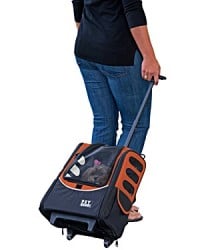 Best Small Dog Carry-on Bags for Domestic & International Travel