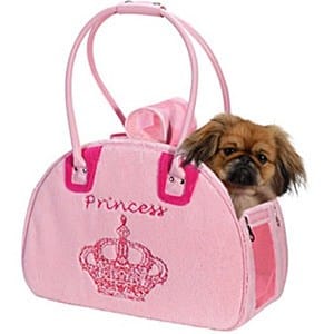 Yorkie Carrier — Best Dog Carriers for Teacup Yorkies