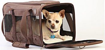 Best Small Dog Carry-on Bags for Domestic & International Travel