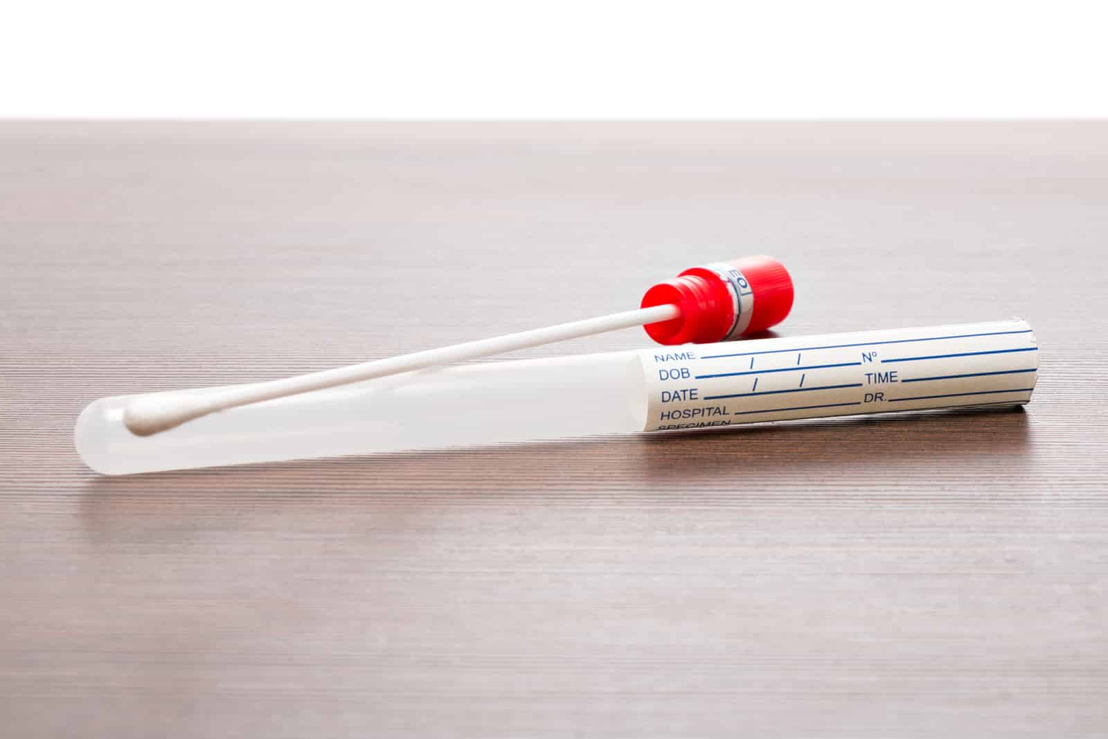 Should I DNA Test My Dog? — Pet Carrier Verdict