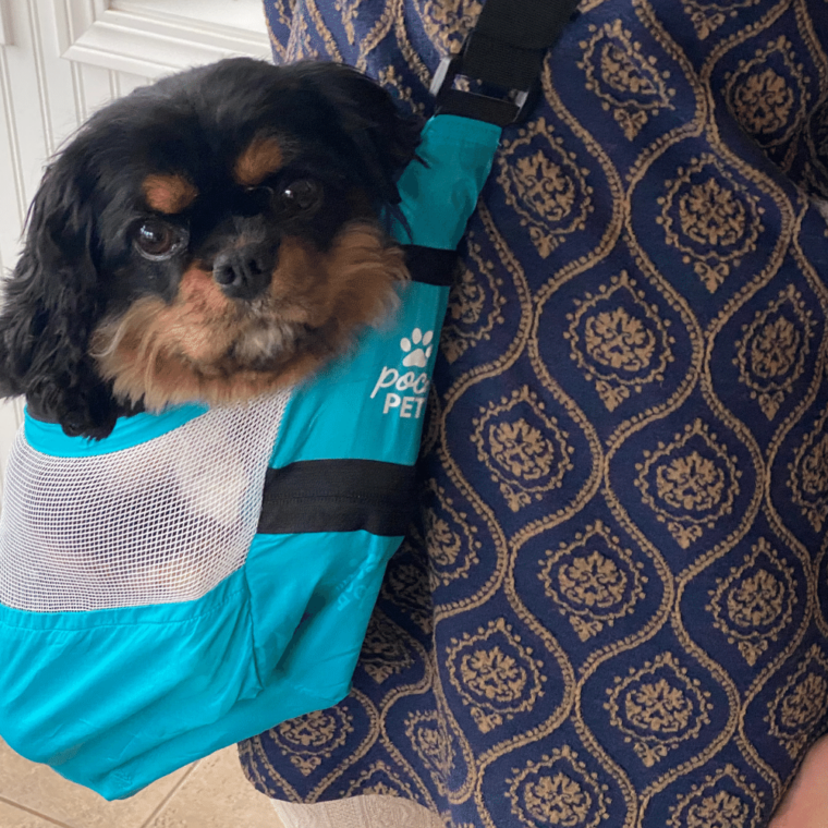 4 Lazy Legs Pet Carrier — Adjustable Pet Sling for Small Dogs Review