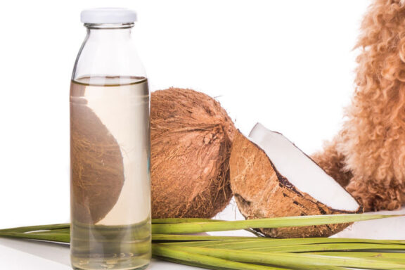 Can Dogs Eat Coconut? — Coconut & Coconut Oil For Dog Health