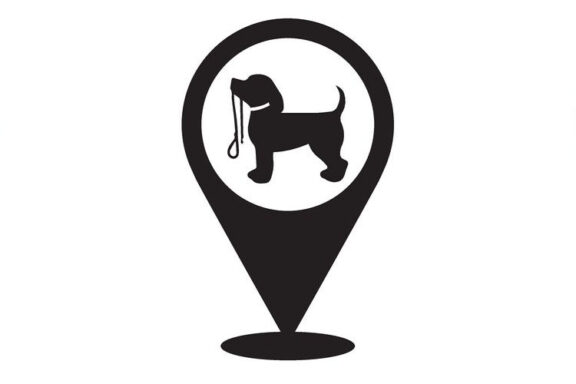 Top 3 Dog Activity Trackers To Try Today — Pet Carrier Verdict